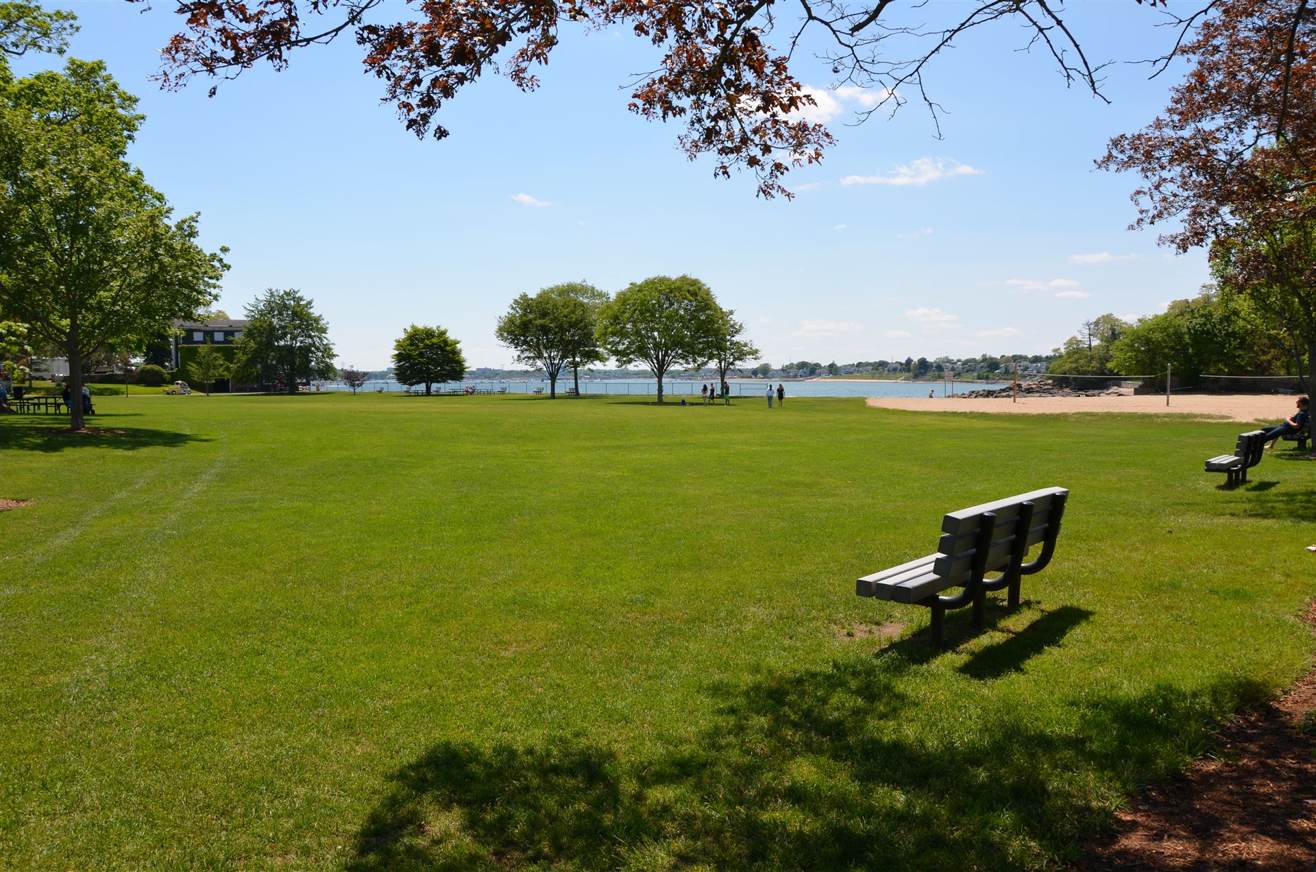 Locations Hub - Lynch Park