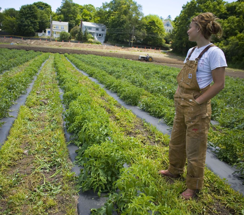 Locations Hub - Busa Farm Lexington